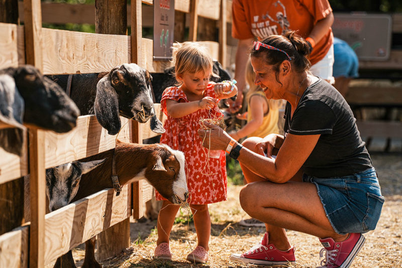 Fall Field Trips & Educational Adventures | Blooms & Berries Farm